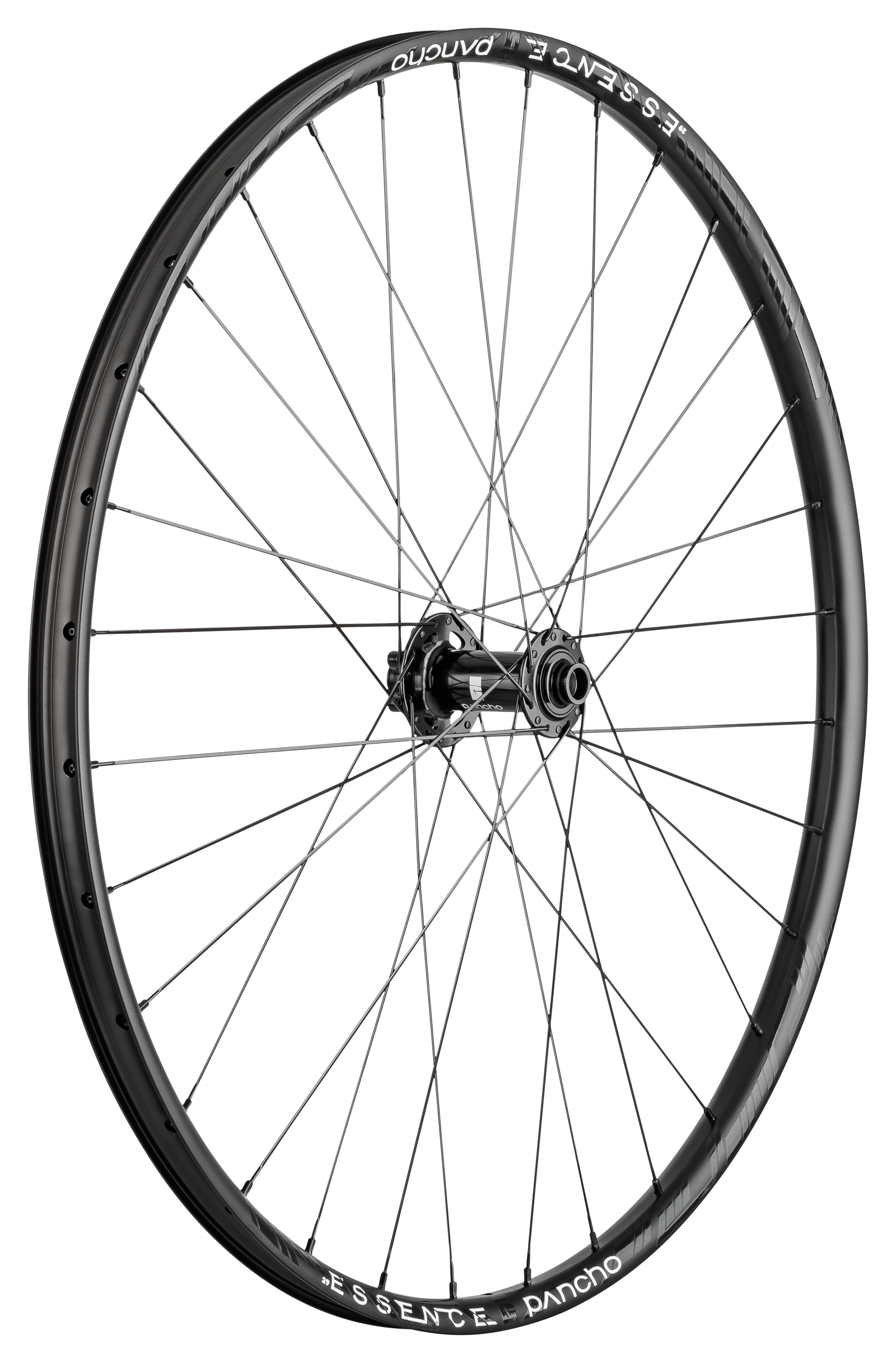 Pancho MTB - Essence 29"